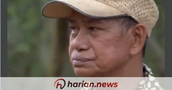 Kasus Pembalakan Hutan Mangrove Maros, Nama Ambo Masse Muncul Selaku Pemilik SHM